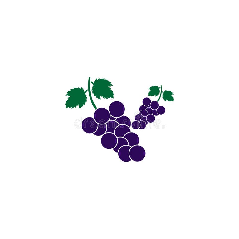 Vector Icon of Grapes Flat Design Simple Web Design with Stroke Line ...