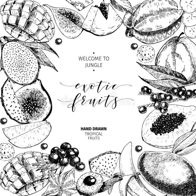 Acai Draw Stock Illustrations – 59 Acai Draw Stock Illustrations ...