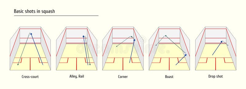 Basic Shots in Squash. Scheme of Squash Court with Arrows Indicating ...