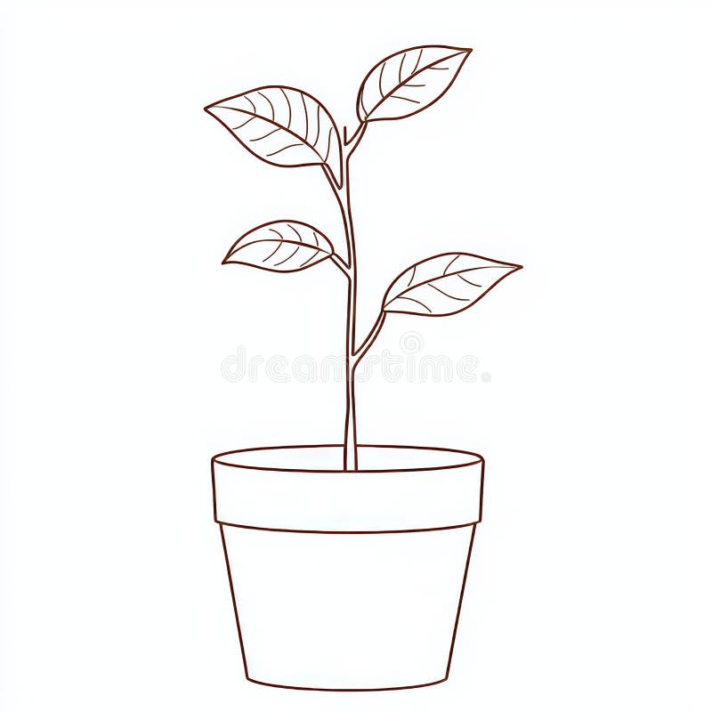 A Basic Sketch of a Potted Plant with Numerous Leaves, Highlighting a ...