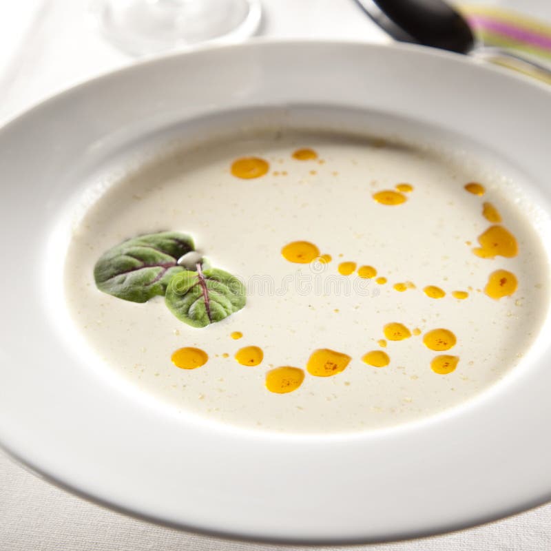 Basic soup stock photo. Image of vegetable, colorful - 22342122