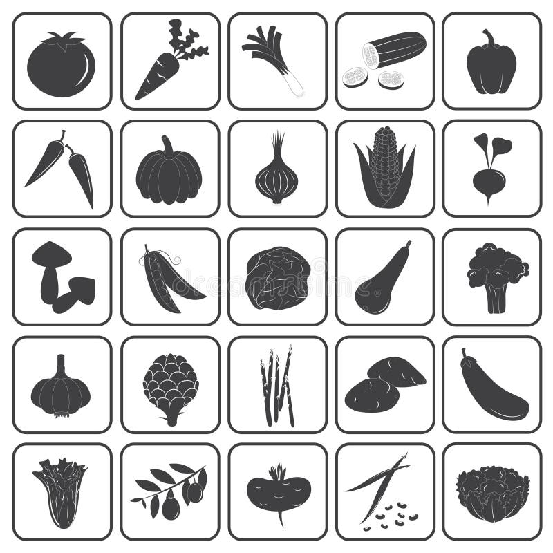 Root vegetables icons. stock vector. Illustration of flat - 59465386