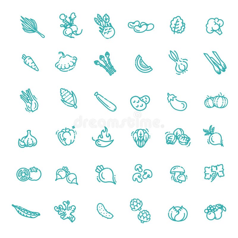 Basic Vegetables Thin Line Icon Set. Vegetables Collection Stock Vector ...