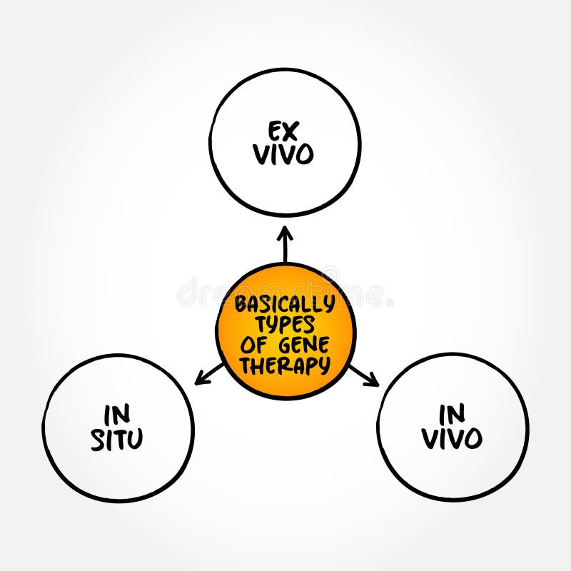 Basically Three Types of Gene Therapy Mind Map Text Concept for ...