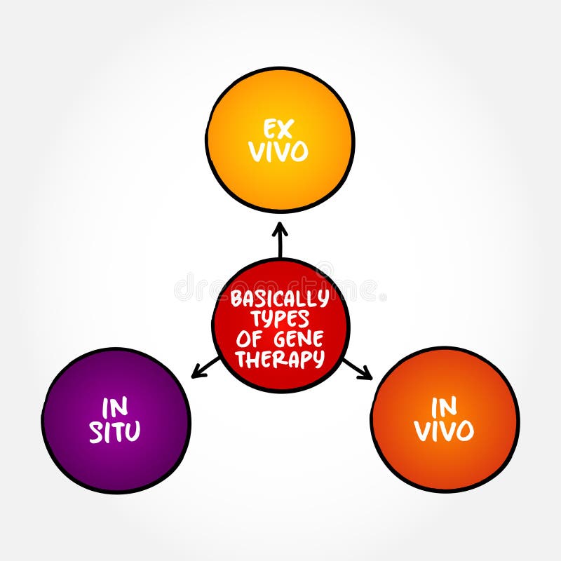Basically Three Types Of Gene Therapy Mind Map Text Concept For