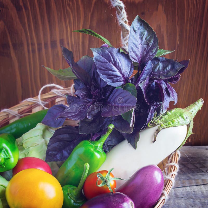 Basil in a Basket with Vegetables. Image Toned in Vintage Style Stock ...