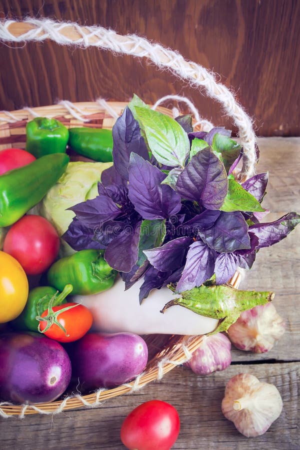 Basil in a Basket with Vegetables. Image Toned in Vintage Style Stock ...