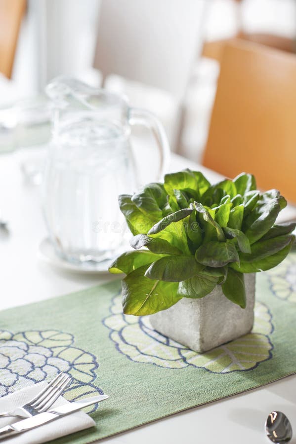 Basil Bunch in Stone Decorative Pot on the Table Stock Image - Image of ...