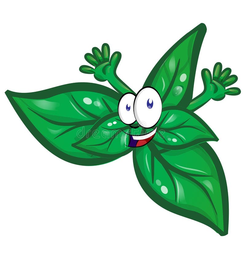 Clipart Basil