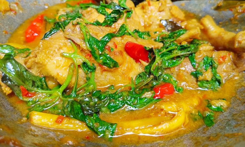 Basil chicken wings stock photo. Image of wing, basil - 277163550