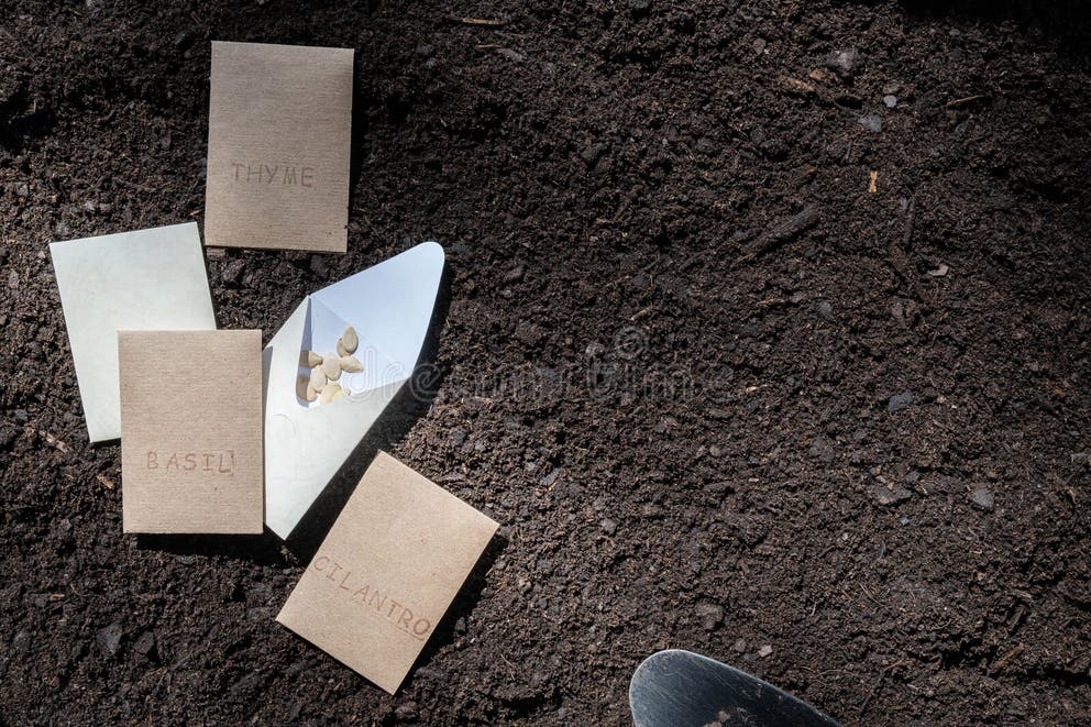 Basil, Cilantro, Thyme and an Open Seed Packet Laying on Rich, Dark ...