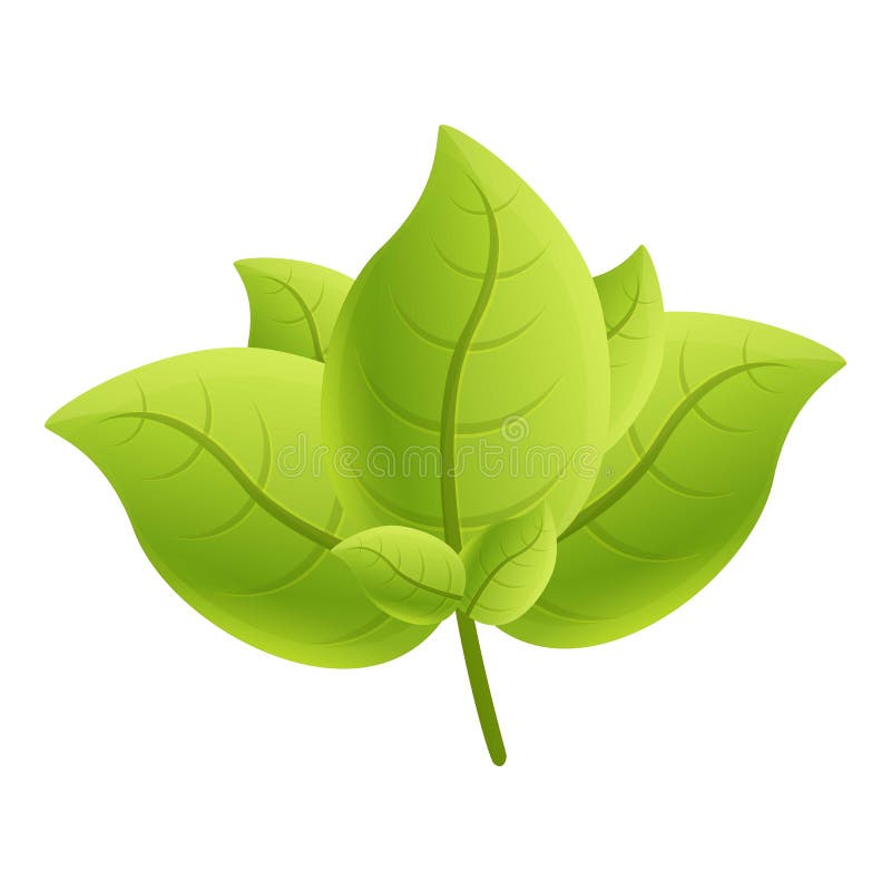 Basil Cooking Icon, Cartoon Style Stock Vector - Illustration of book ...