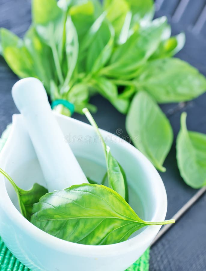 Basil stock image. Image of garnish, salad, chopping - 47794753