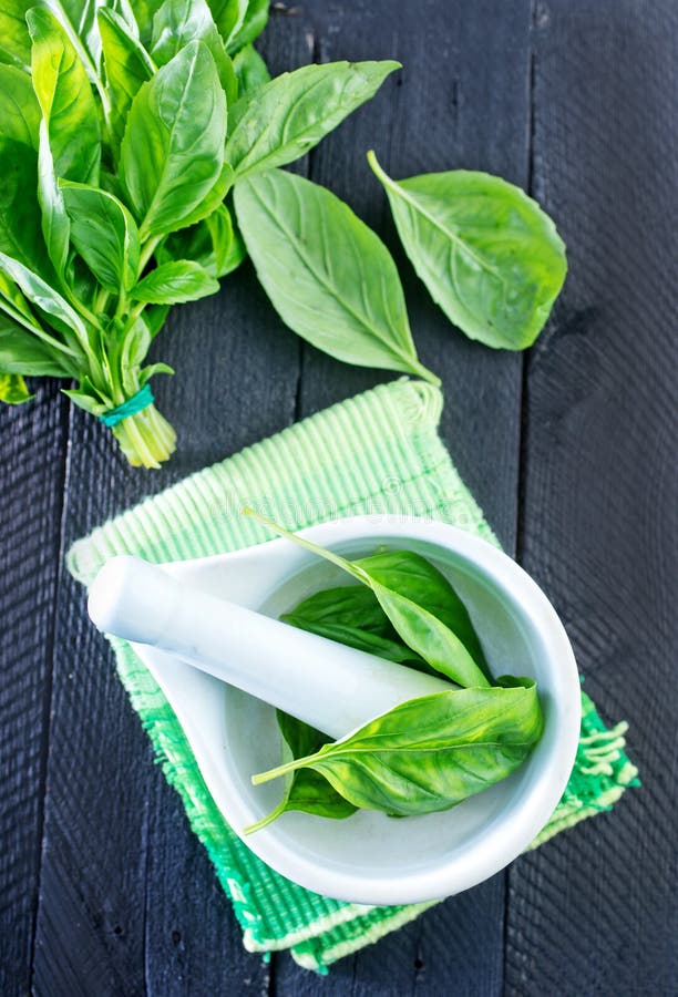 Basil stock photo. Image of bunch, rustic, garnish, organic - 49172274