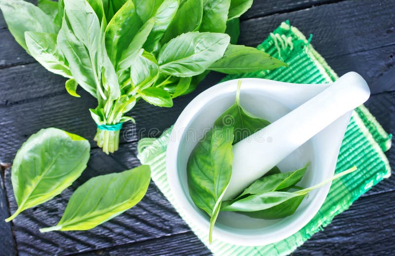 Basil stock photo. Image of ripe, color, objects, organic - 49172476