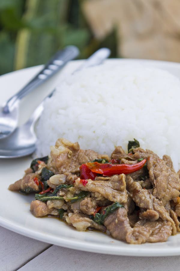 Basil fried rice with pork stock photo. Image of delicious - 43702072
