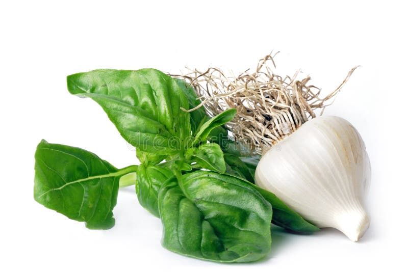 Basil & garlic stock photo. Image of plants, diets - 2715488