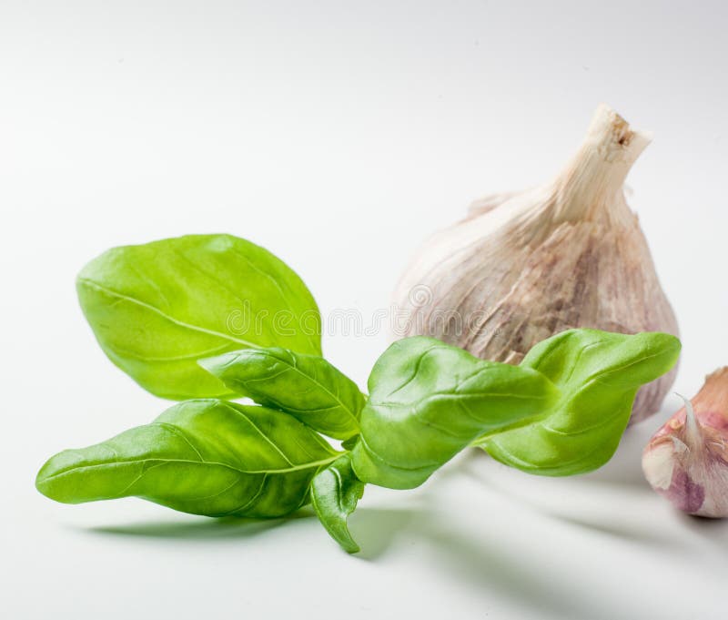 Basil and Garlic for Italian Sauce Preparation Stock Image - Image of ...