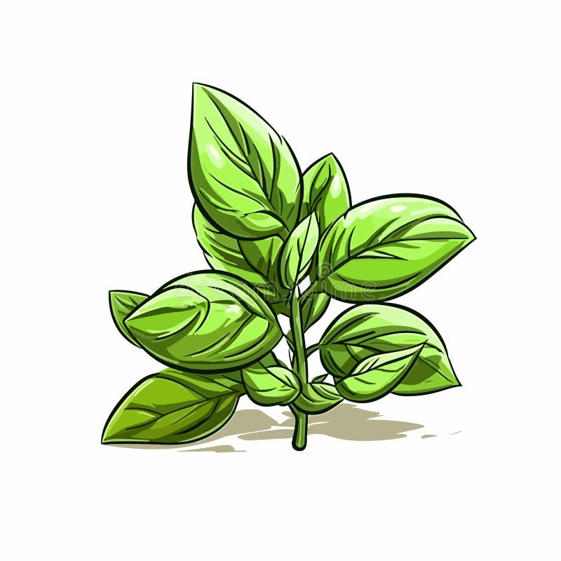 Basil Hand-drawn Illustration. Basil. Vector Doodle Style Cartoon ...