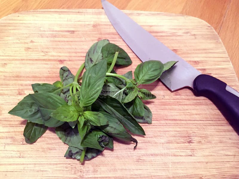 Basil Herb on Chopping Board Landscape Stock Photo - Image of prepare ...