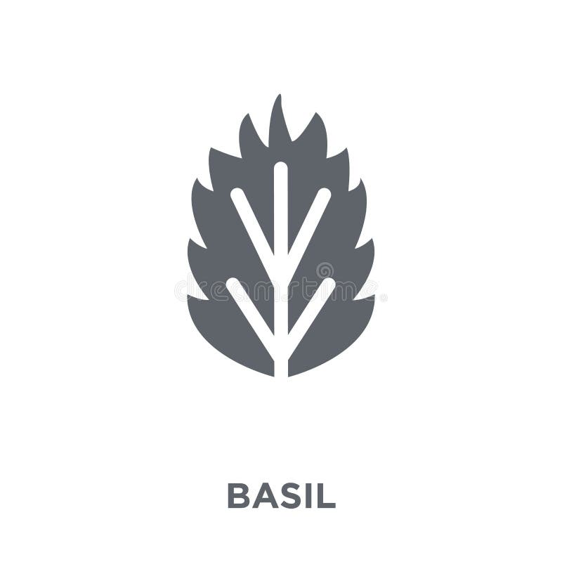 Basil Icon from Fruit and Vegetables Collection. Stock Vector ...