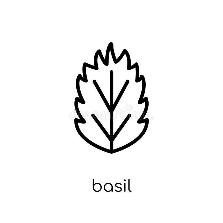 Basil Icon. Trendy Modern Flat Linear Vector Basil Icon on White Stock ...