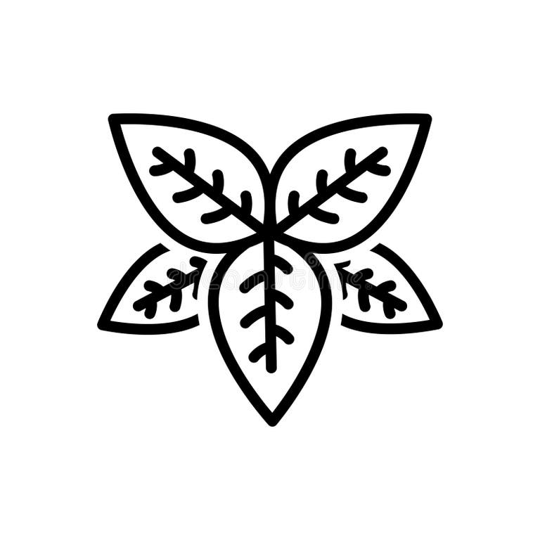 Black Line Icon for Basil, Tulsi and Greenery Stock Vector ...