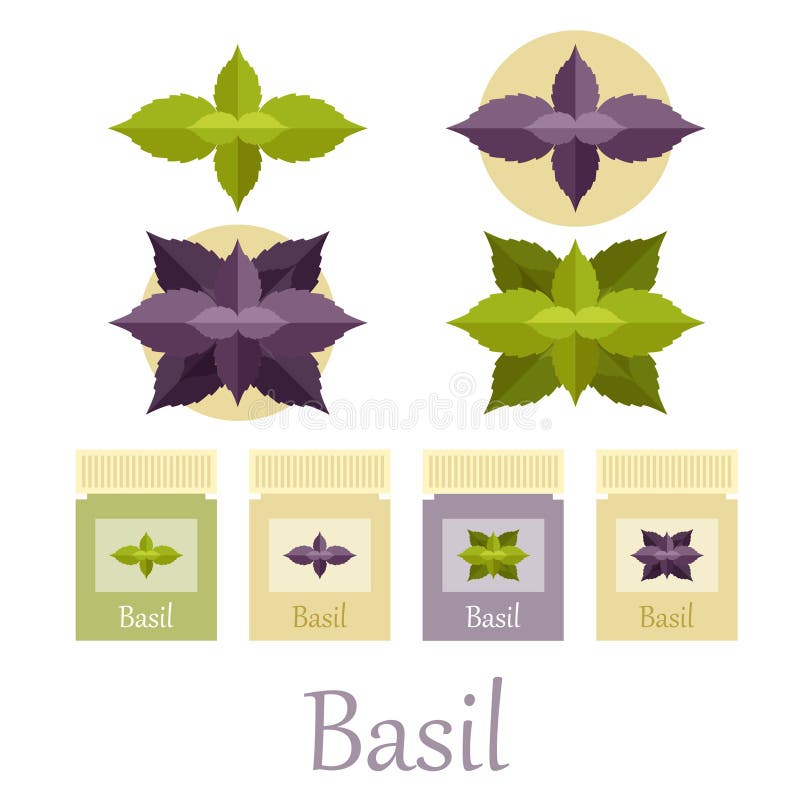 Basil icons set stock vector. Illustration of isolated - 67536565