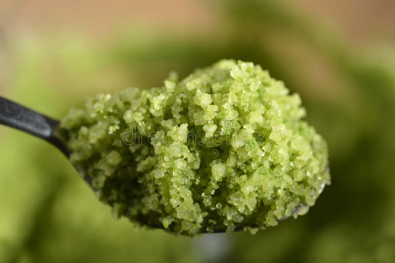 Basil-Infused Sea Salt stock photo. Image of fusion - 328480270