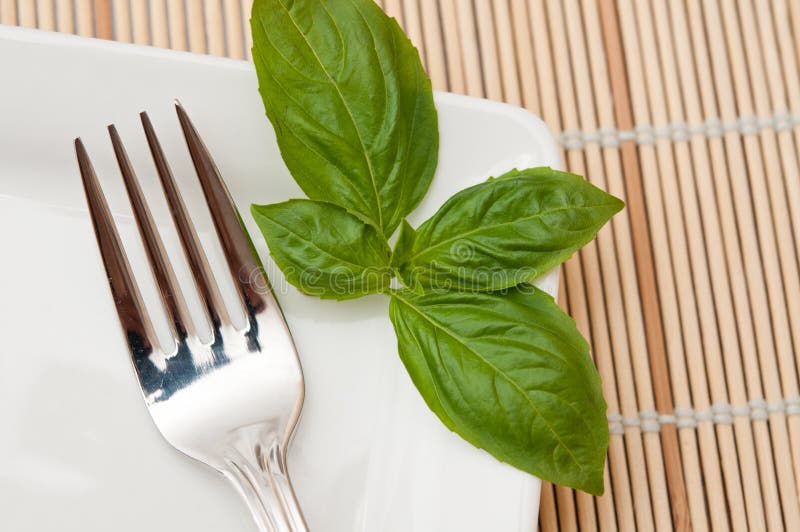 Basil leaf and fork stock image. Image of nutrition, healthy - 21064731