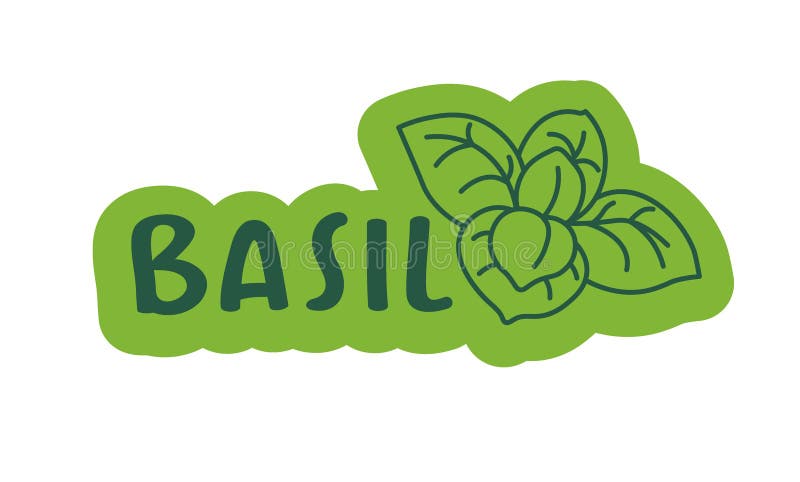 Basil Leaf Vector Artwork Sticker Stock Illustration - Illustration of ...
