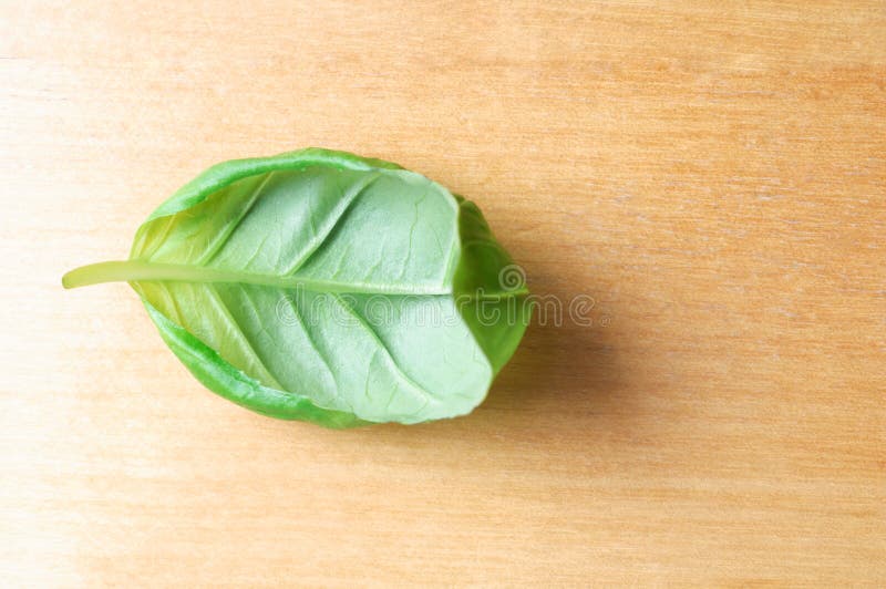 Basil Leaf on Wood stock image. Image of light, seasoning - 25794949