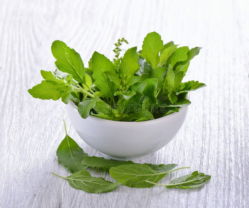 Basil leaves in a bowl stock image. Image of flower - 119533483