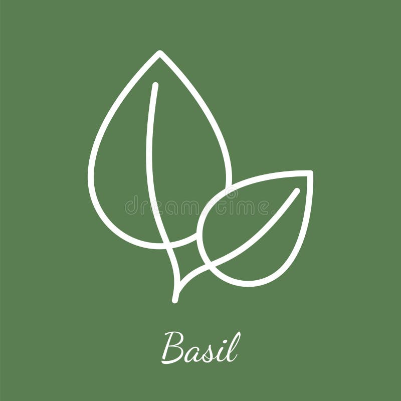 Basil leaves vector icon stock vector. Illustration of isolated - 131401904