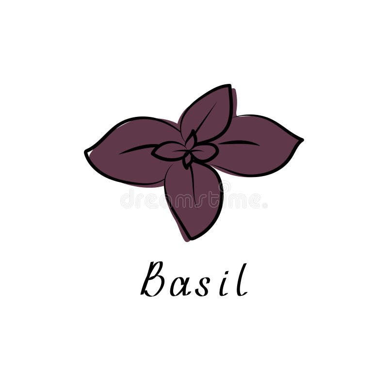 Basil Logo Stock Illustrations – 2,548 Basil Logo Stock Illustrations ...