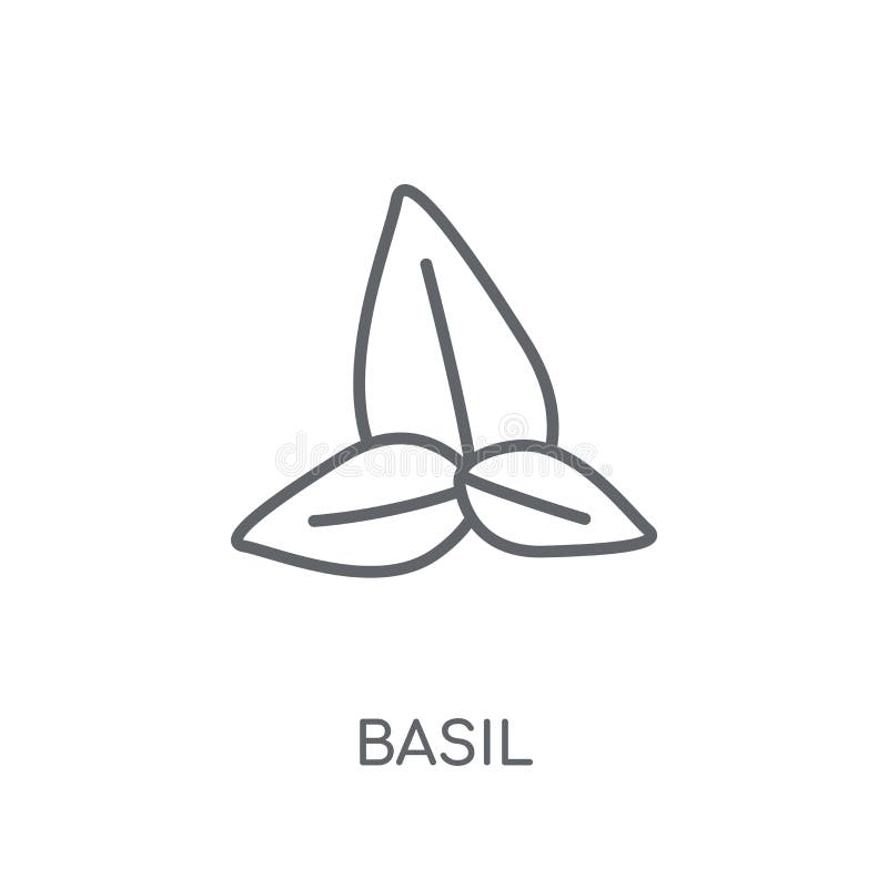 Basil Linear Icon. Modern Outline Basil Logo Concept On White Ba Stock ...