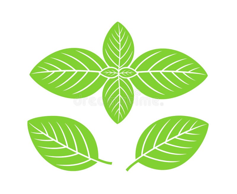 Basil Logo. Isolated Basil on White Background Stock Vector ...