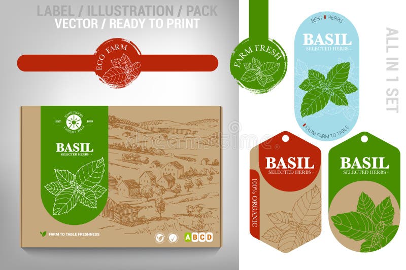 Basil Packaging Design Set - Vector Illustration with Labels and Pack ...
