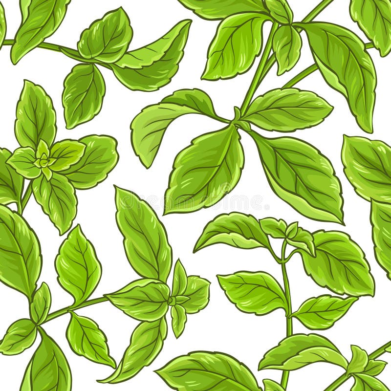 Cartoon Basil Stock Illustrations – 5,586 Cartoon Basil Stock ...