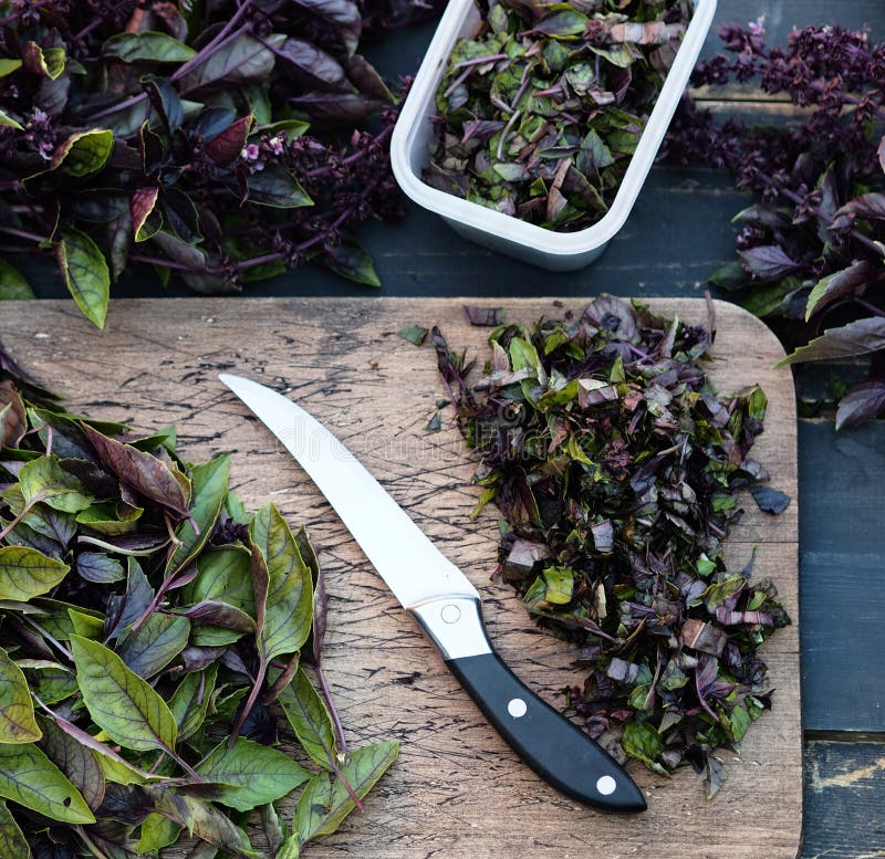 Basil Preparation Process for Future Use. Slicing Basil Leaves on a ...