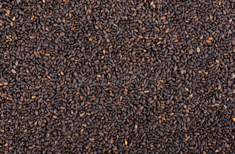 Basil Seeds Background. Ocimum Basilicum. Top View. Stock Photo - Image ...