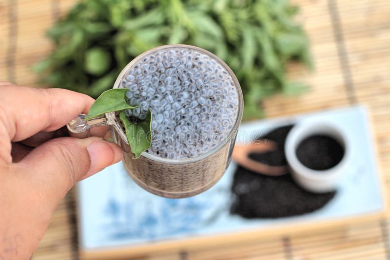 Basil Seeds for Fiber Beverage and Raw Seed Stock Photo - Image of ...