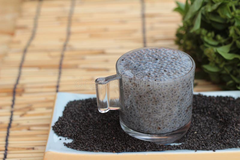 Basil Seeds for Fiber Beverage and Raw Seed Stock Photo - Image of ...