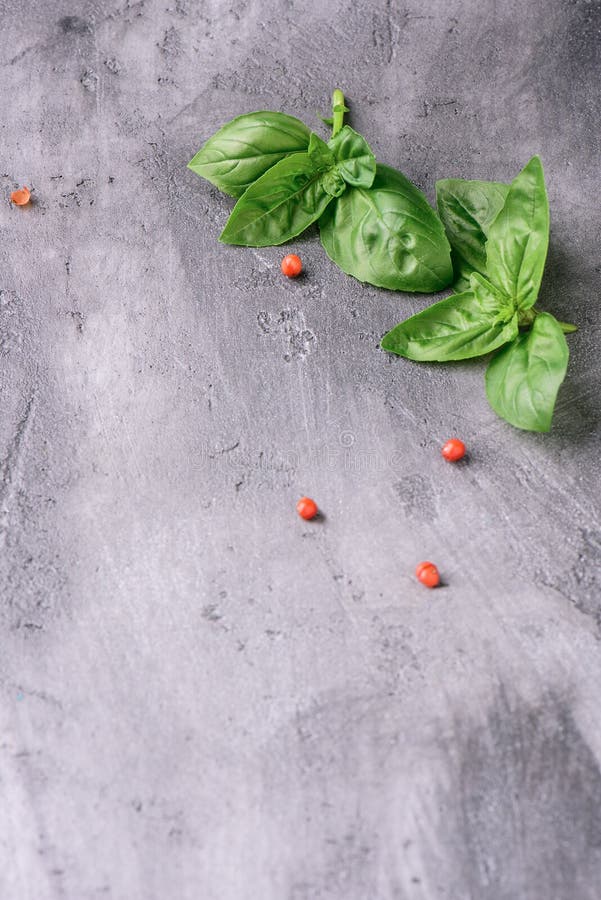 Basil Sprigs on a Concrete Surface Stock Photo - Image of concrete ...