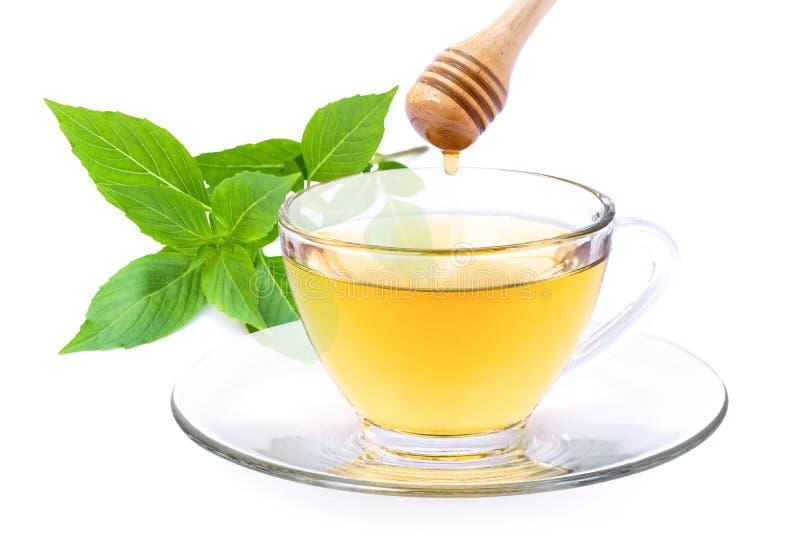Basil tea herbal drinks stock image. Image of isolated - 197742413