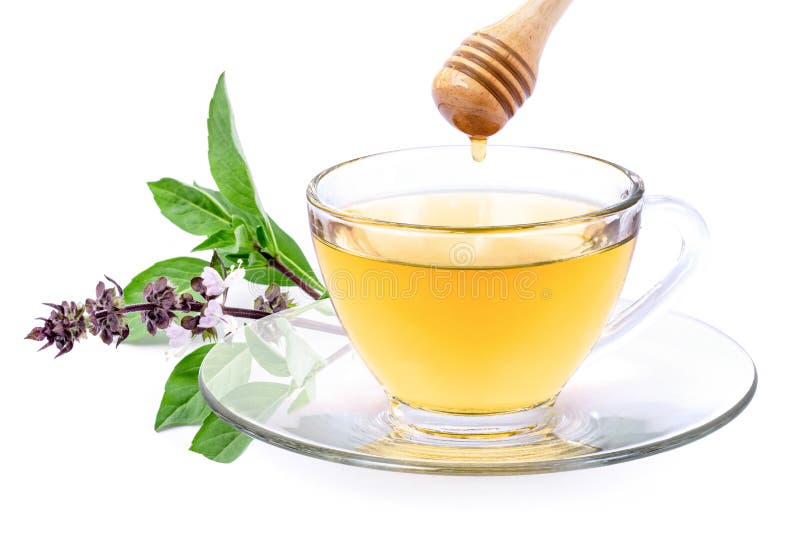 Basil tea and honey stock photo. Image of fresh, food - 194805298