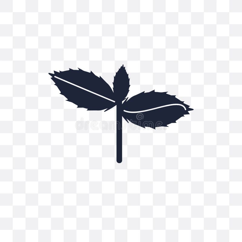 Basil Transparent Icon. Basil Symbol Design from Fruit and Vegetables ...