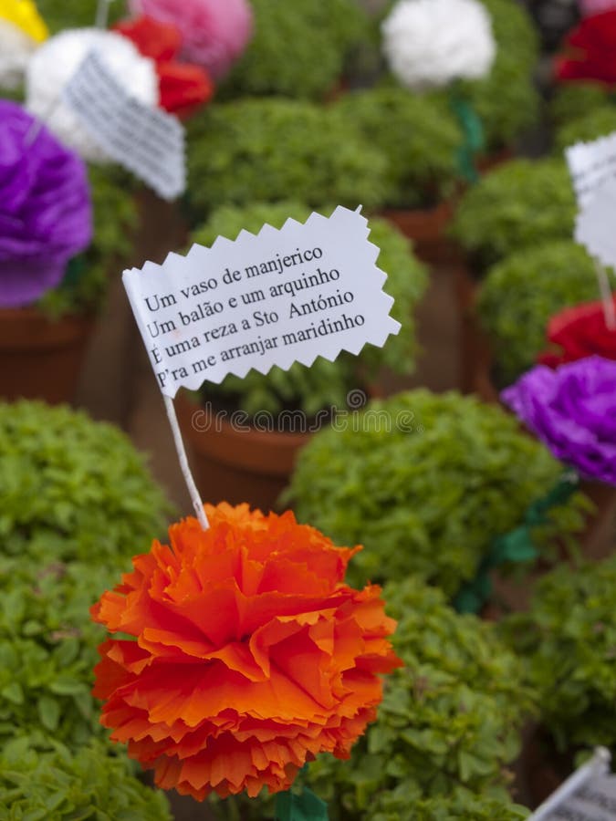 Basil Vase with Paper Flower and Rime Stock Photo - Image of ...
