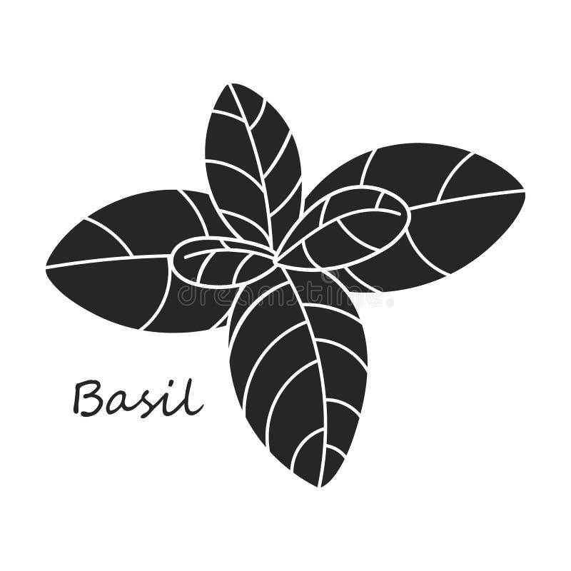 Basil Vector Icon.Black,simple Vector Icon Isolated on White Background ...
