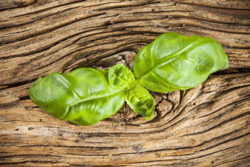 Basil on Wooden Table, Top View Stock Image - Image of organic, spice ...